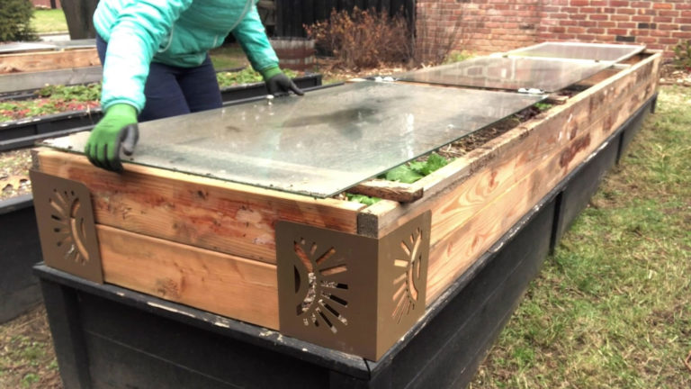 How To Winterize A Garden: 10 Steps Before It Snows!